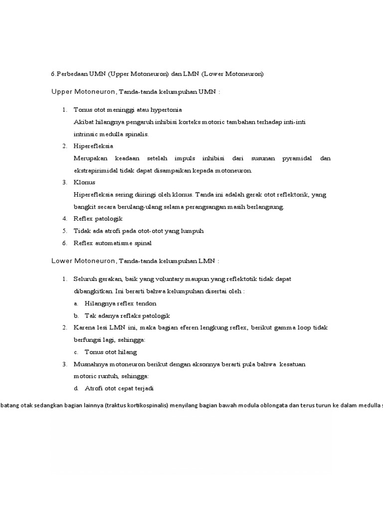 PDF Perbedaan Umn Dan LMN | PDF