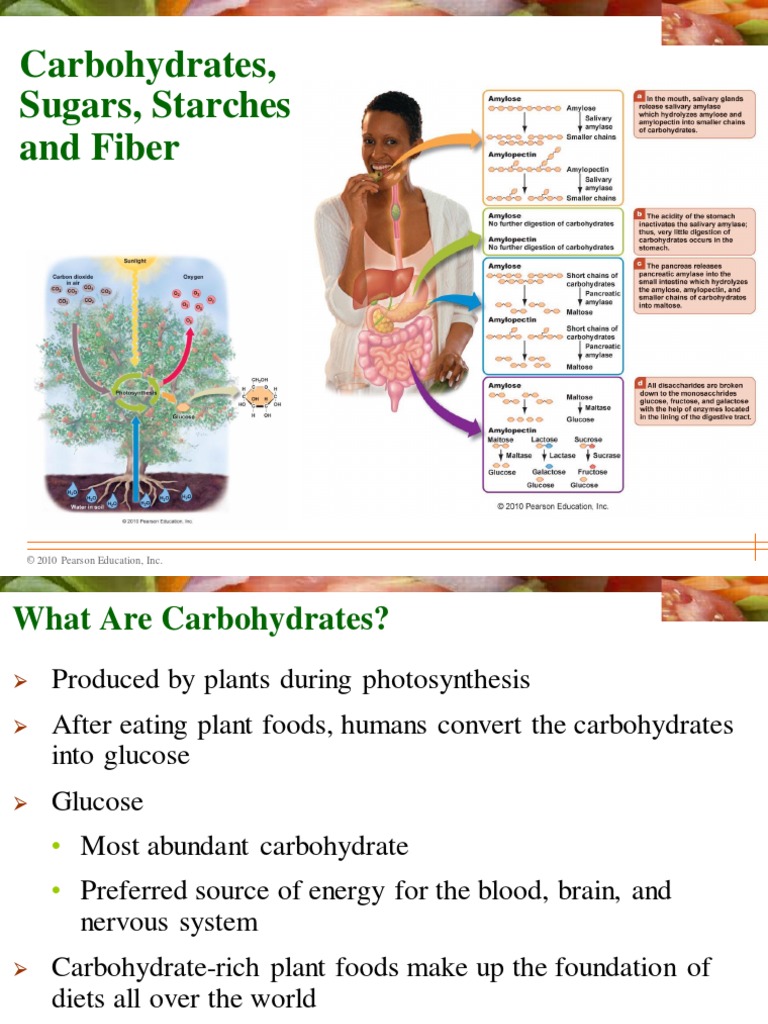 Carbohydrates and Its Types | PDF | Dietary Fiber | Diet & Nutrition