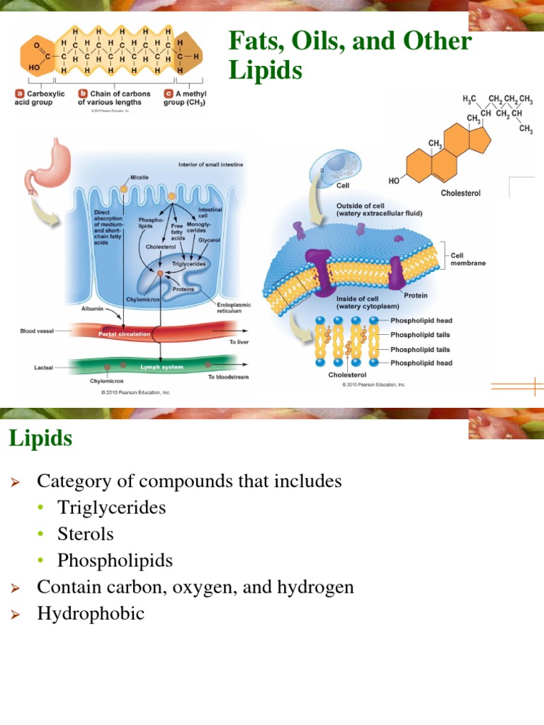 Lipids and Its Types | PDF | Fat | Lipoprotein