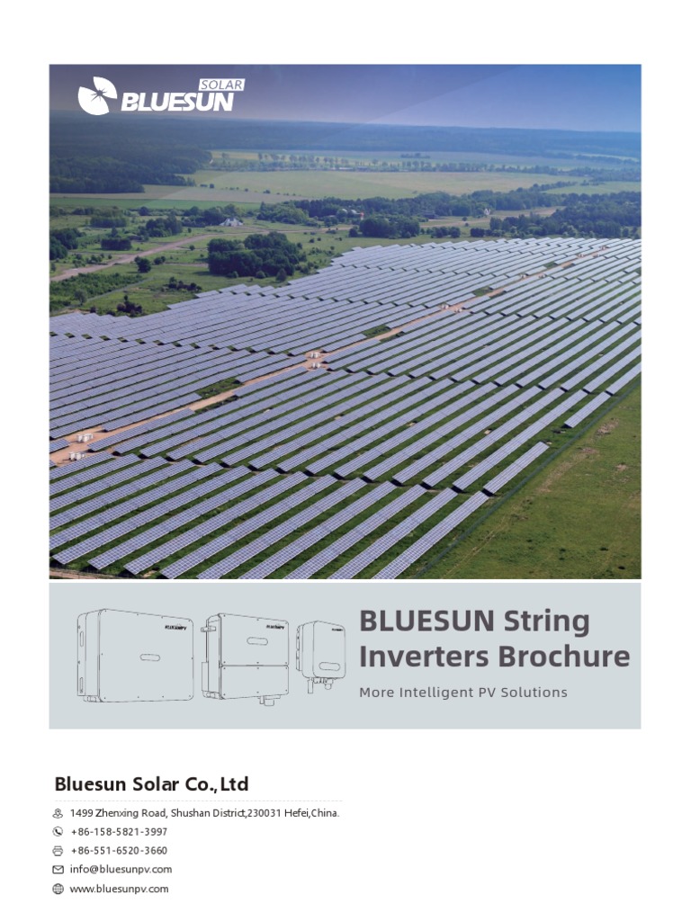 Bluesun Inverter Catalog | PDF | Power Inverter | Alternating Current