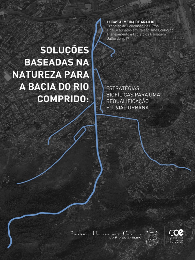 SOLUÇÕES BASEADAS NA NATUREZA PARA A BACIA DO RIO COMPRIDO: Estratégias ...