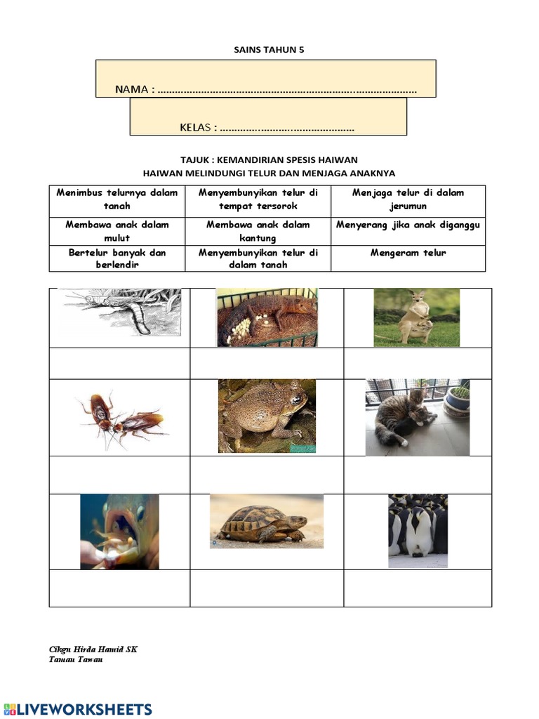 Kemandirian Spesies Haiwan Tahun 5 | PDF