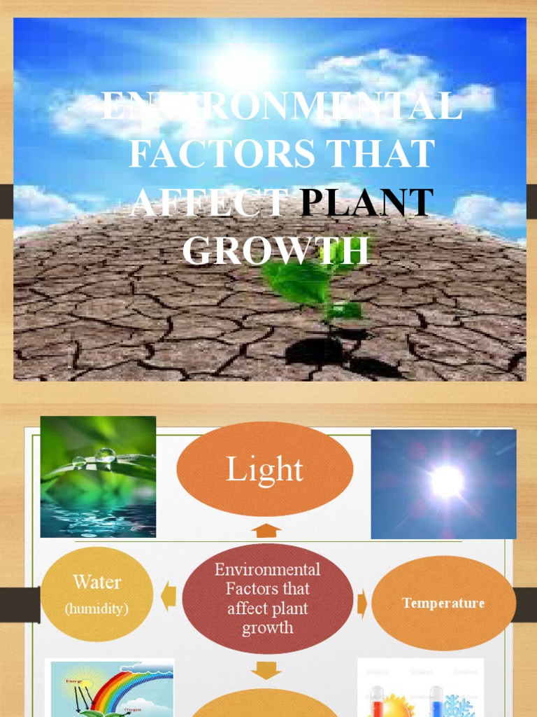 Factors Affecting Plant Growth | PDF | Plants | Biology