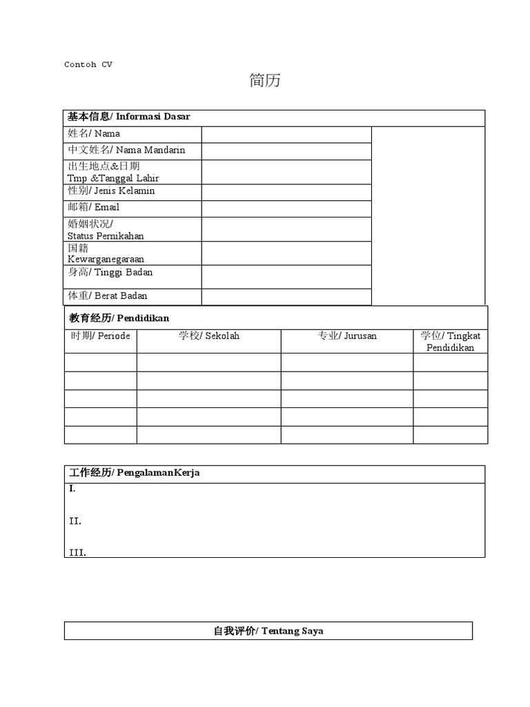 Contoh CV Mandarin | PDF
