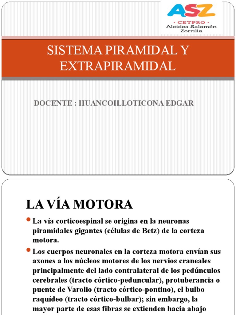 6-Via Piramidal y Extrapiramidal | PDF | Ganglios basales | Anatomía humana