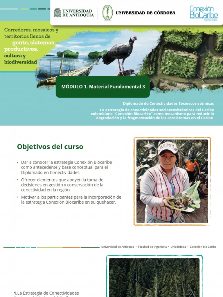 Estrategia Conexión Biocaribe | PDF | Sustentabilidad | Desarrollo ...