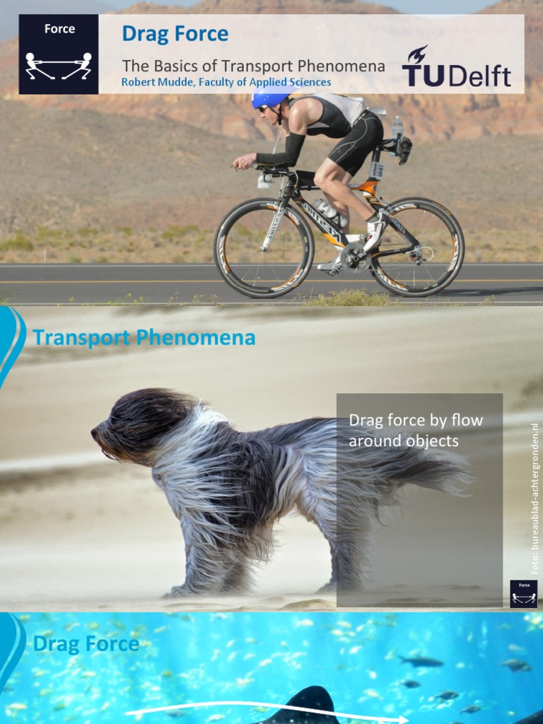 Drag Force: The Basics of Transport Phenomena | PDF | Drag (Physics ...