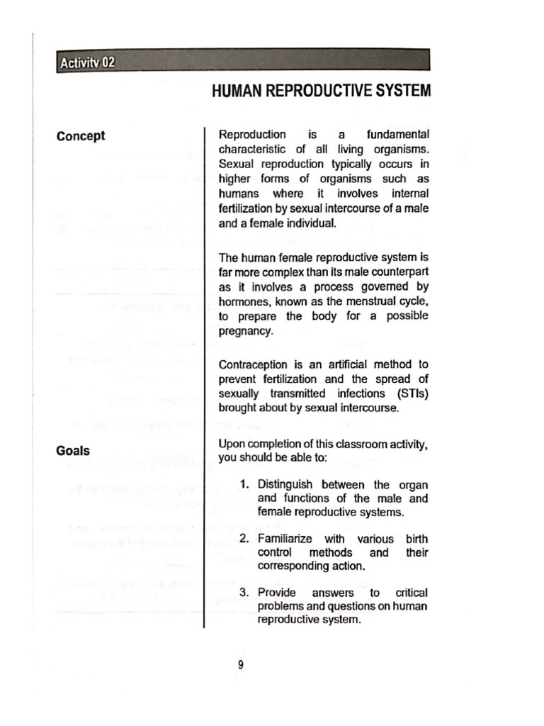 Activity On Human Reproductive System | PDF