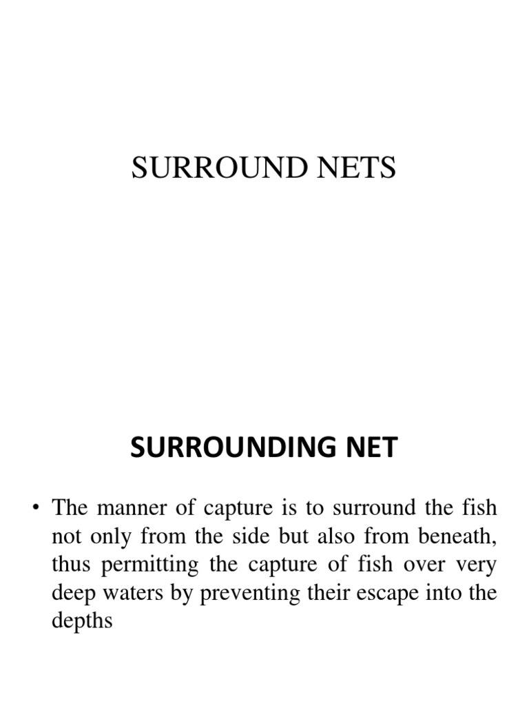 Surround Nets | PDF | Fish | Fish And Humans