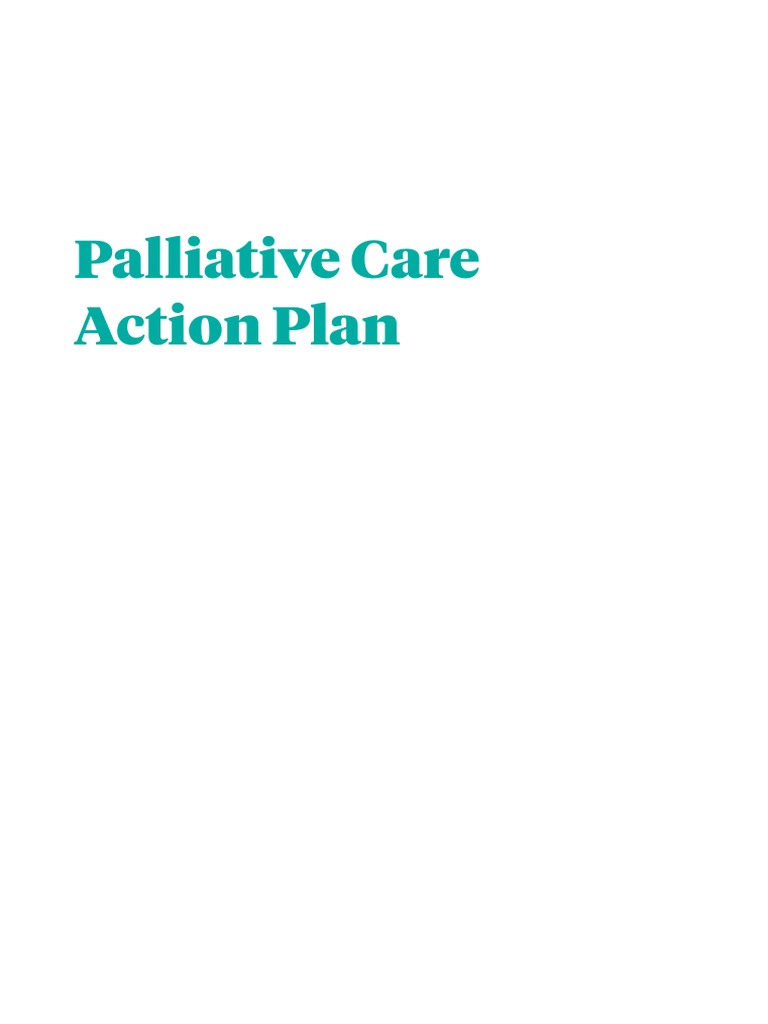 Palliative Care Action Plan 0 | PDF | Palliative Care | End Of Life Care