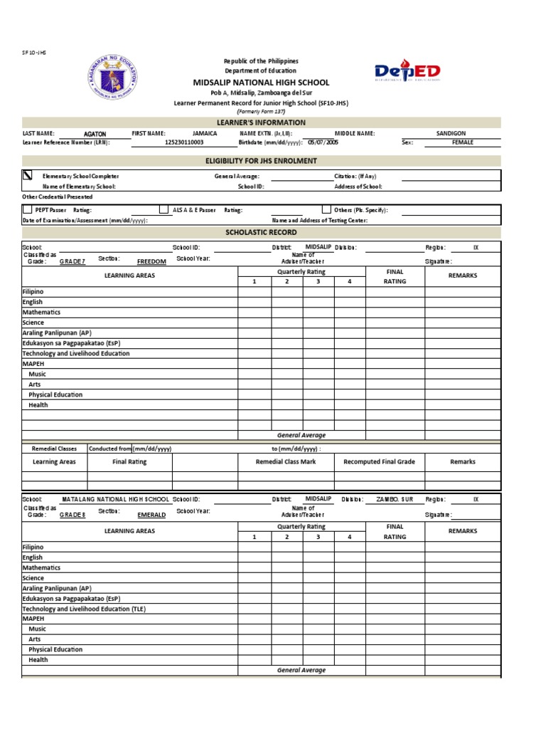 Midsalip National High School: Learner'S Information | PDF
