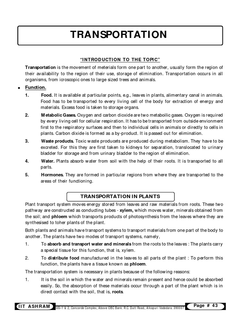 Transportation: Function | Download Free PDF | Atrium (Heart) | Heart