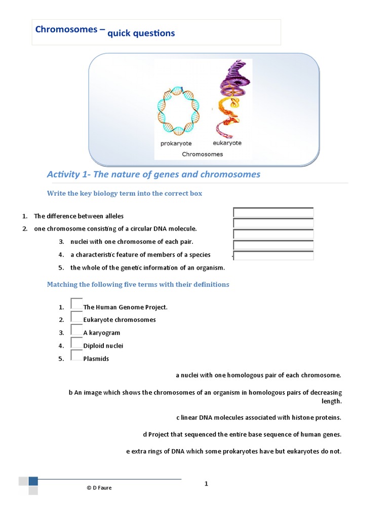 Chromosomes - Quick Questions: Activity 1-The Nature of Genes and ...