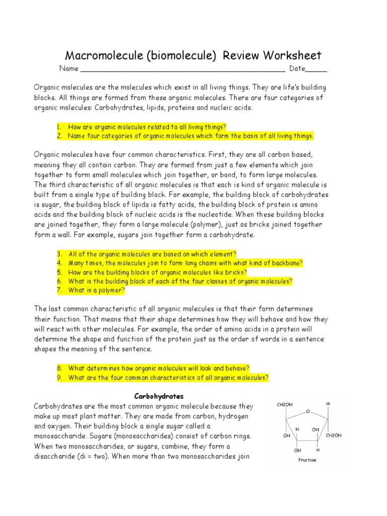 Macromolecule (Biomolecule) Review Worksheet: Carbohydrates | PDF ...
