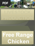 (PDF) Layers Feeding Guide, Growth & Weight Chart - Livestocking | PDF ...