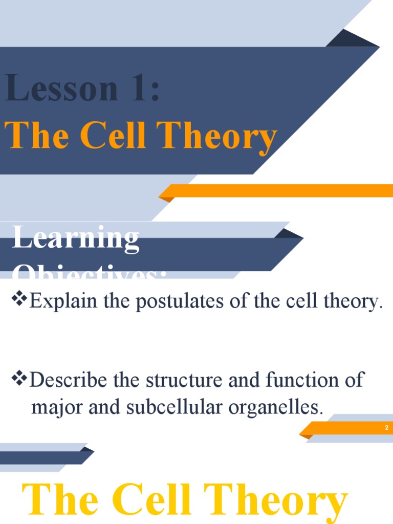 Cell Theory Timeline 1673