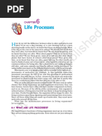 Science - G9 - Week 7 (Lessons 19-20) | PDF | Cellular Respiration ...