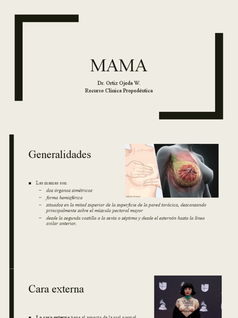 Exploración de Mama | PDF | Pecho | Especialidades Medicas