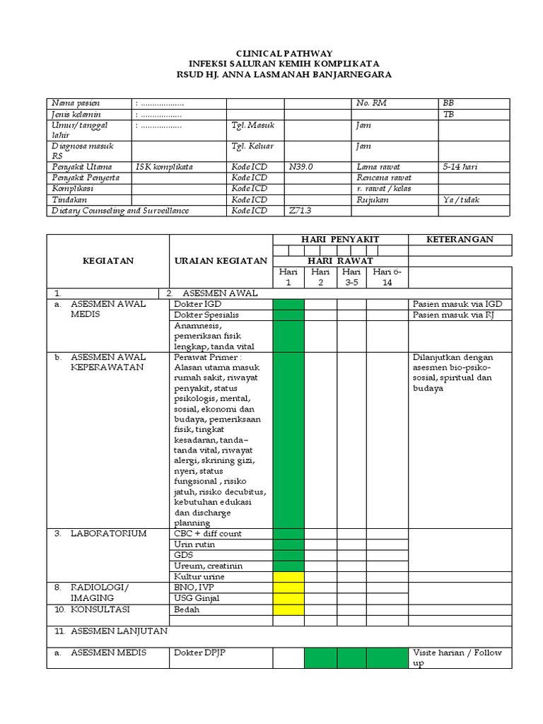 Clinical Pathway Isk | PDF