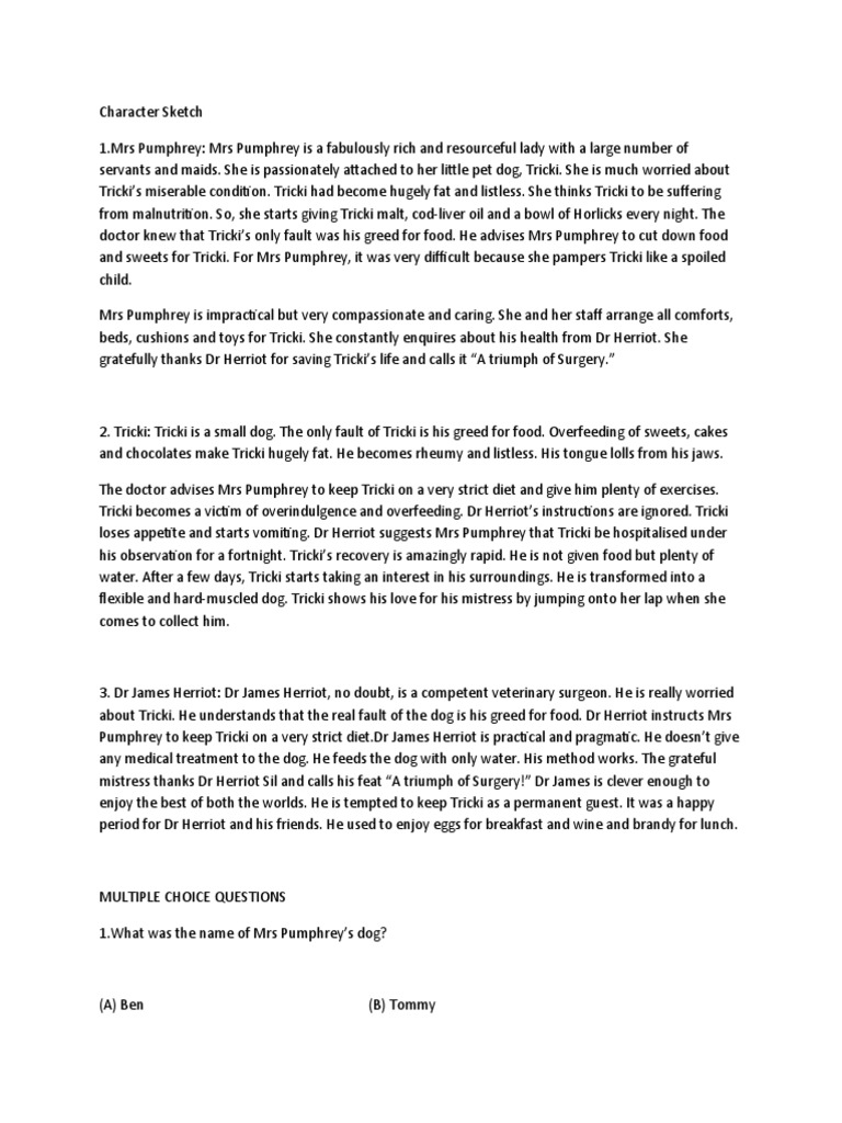 Character Sketc-WPS Office | PDF | Contentment