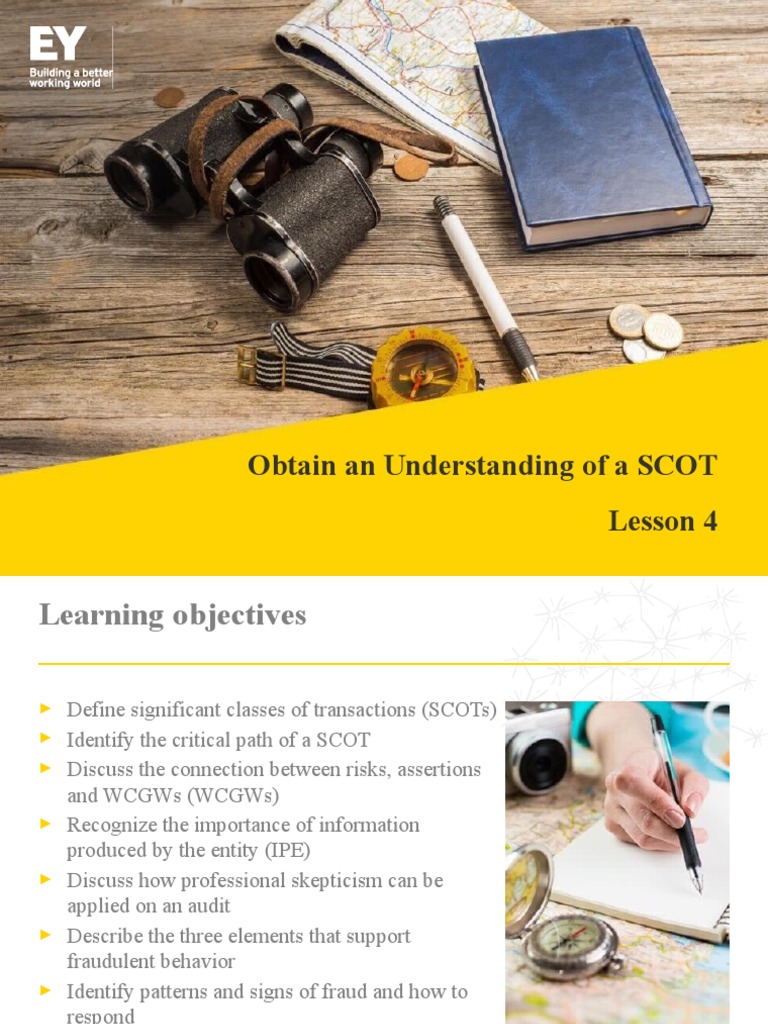 Understanding SCOTs and IPE Risks | PDF | Audit | Fraud
