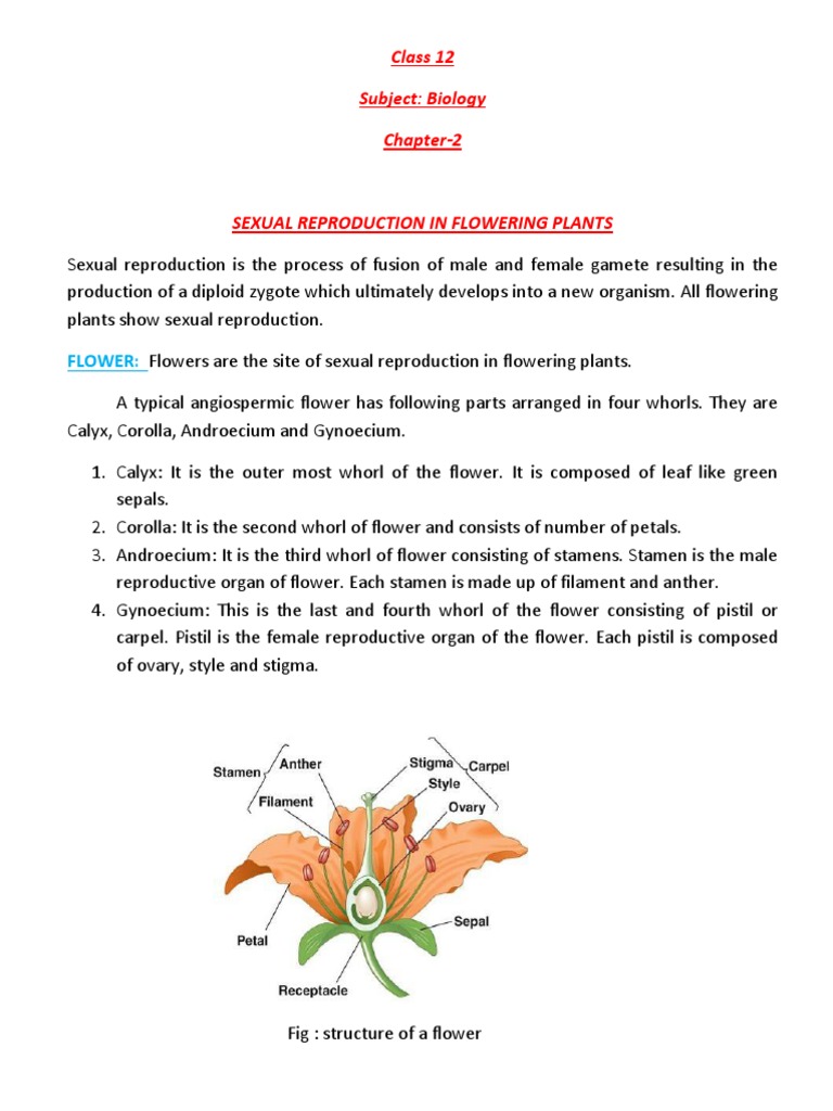 Class 12 Subject: Biology Chapter-2: Flower | PDF | Seed | Pollen