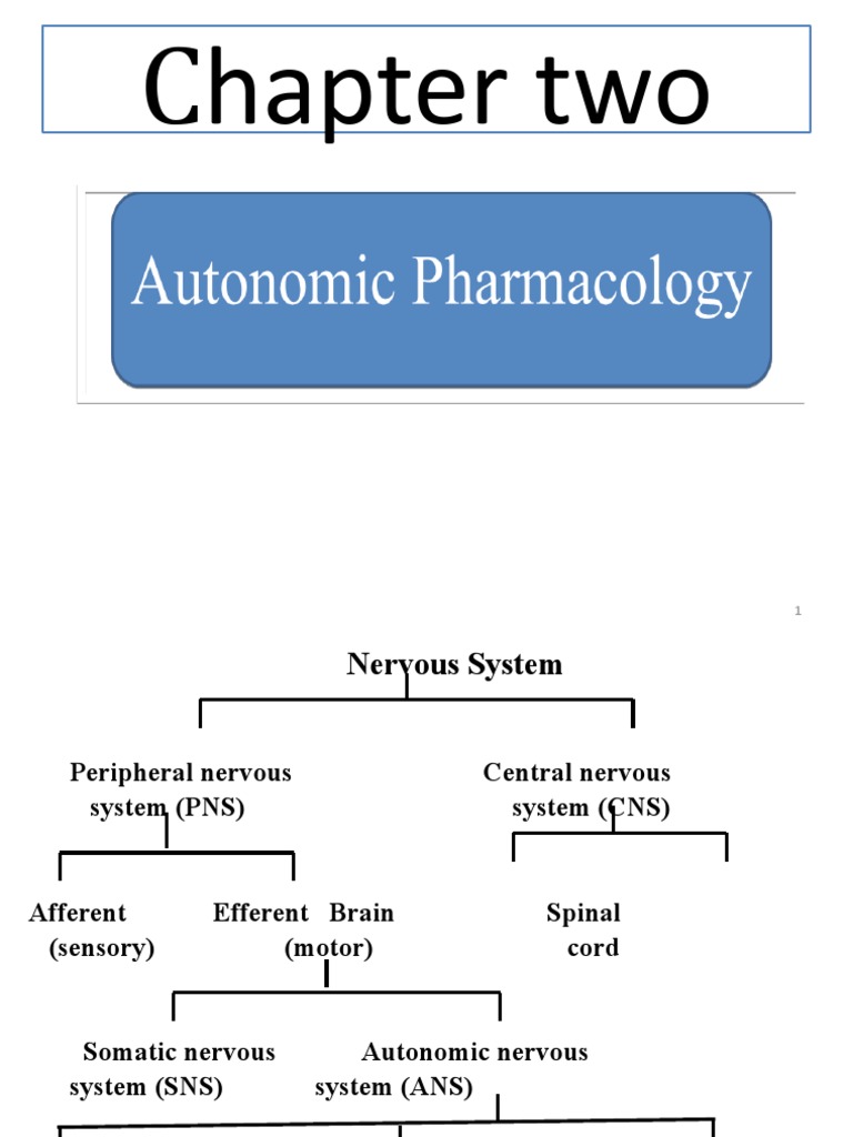 ANS Pharmacology | PDF | Acetylcholine | Nervous System