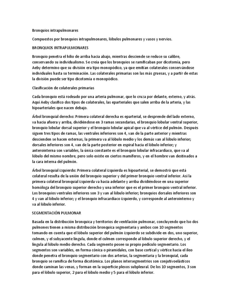 Bronquios Intrapulmonares | Descargar gratis PDF | Pulmón | Anatomía