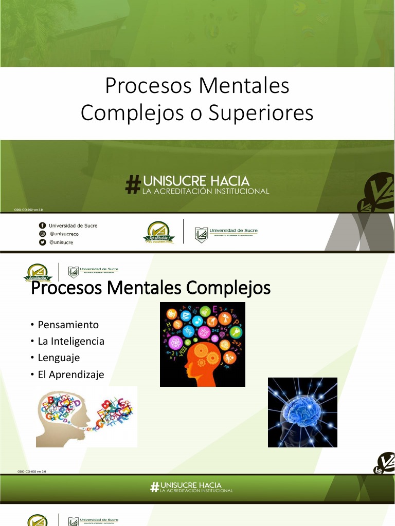 Procesos Mentales Complejos PDF | PDF | Inteligencia | Palabra