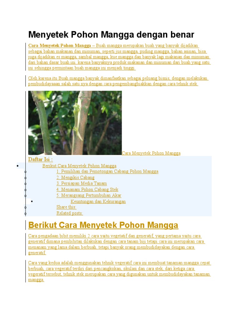 Menyetek Pohon Mangga Dengan Benar | PDF