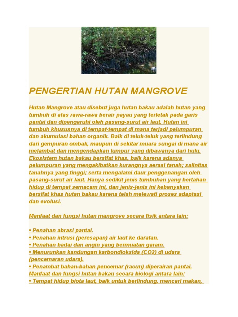 Mangrove | PDF | Sains & Matematika
