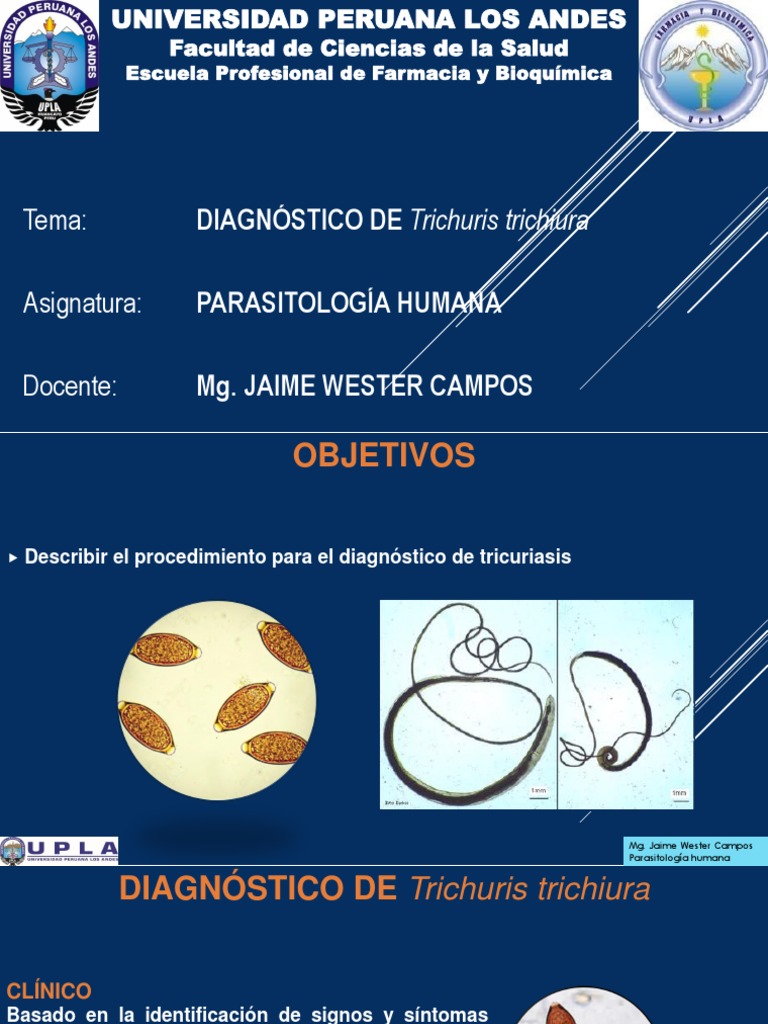 Práctica 10. Diagnóstico de Trichuris Trichiura | PDF