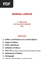 Fundic Height Measurement | PDF | Pregnancy | Health Care