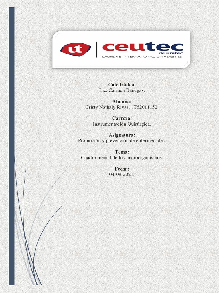 Mapa Mental-Cristy Rivas. | PDF | Virus | Las bacterias