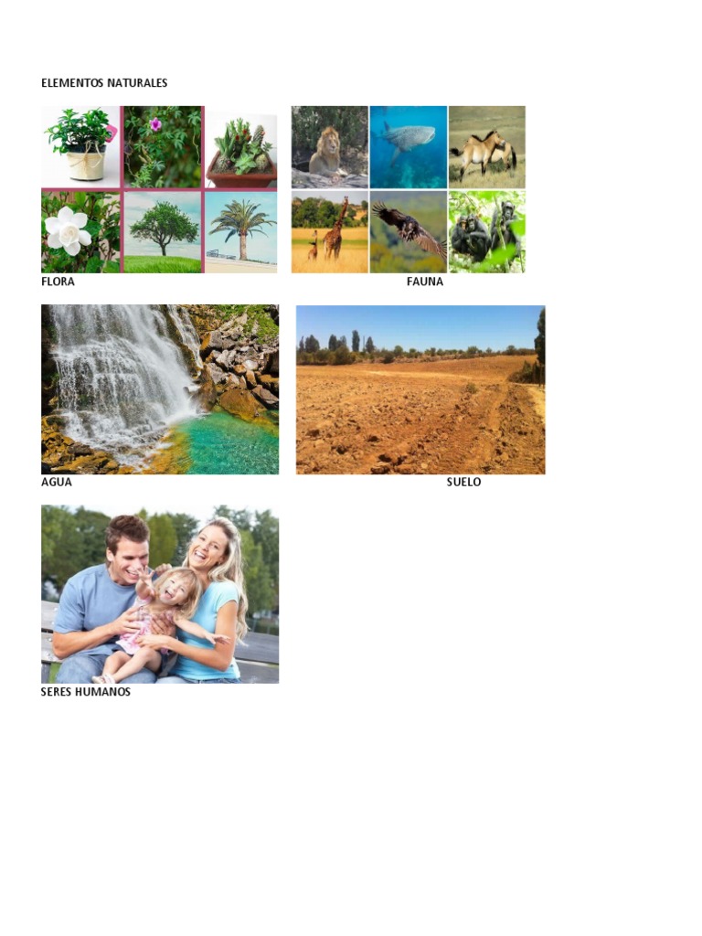 Elementos de La Naturaleza Naturales y Artificiales | PDF