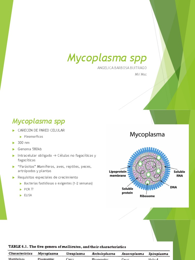 Características y Patogenicidad de Mycoplasma spp | PDF | Micoplasma ...
