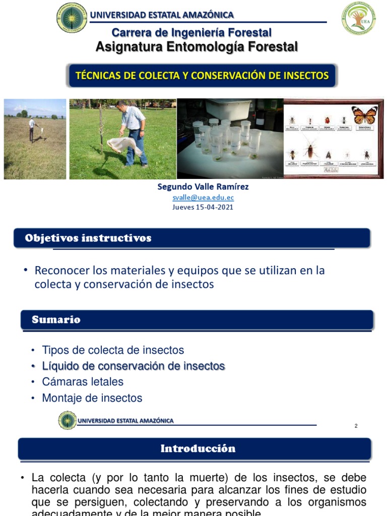 C2.-Tecnicas de Colecta y Conservación Insectos | PDF | Insectos