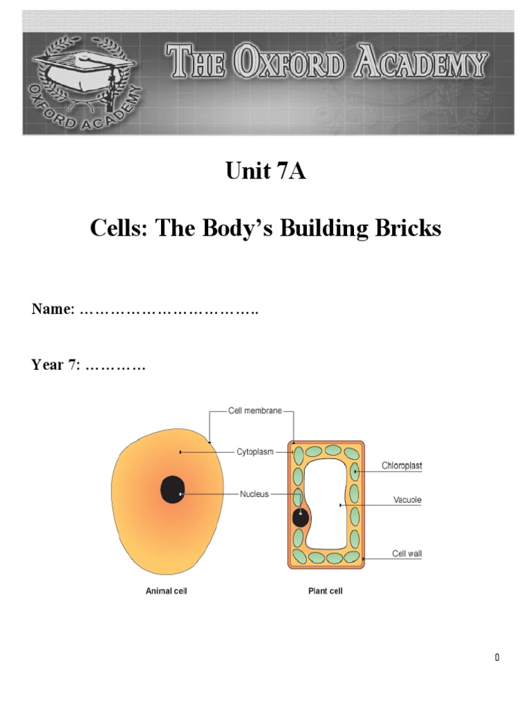 Unit 7A Cells: The Body's Building Bricks: Name: . | PDF | Flowers ...