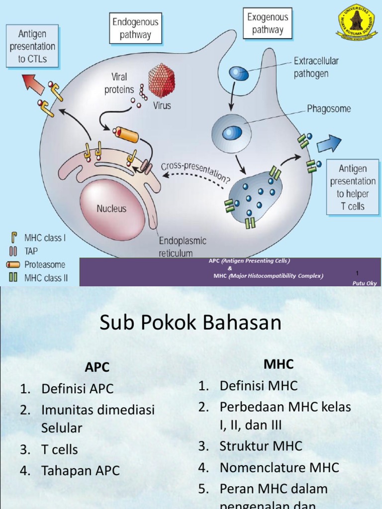 Apc, MHC, April 2020 | PDF