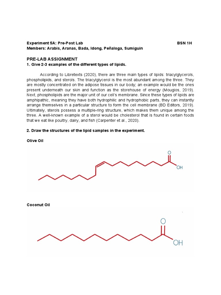 Lipids Experiment Lab Report | PDF | Lipid | Fat