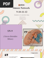 Simoes Network SEMINARIO ORTOPEDIA | PDF | Diente | Boca