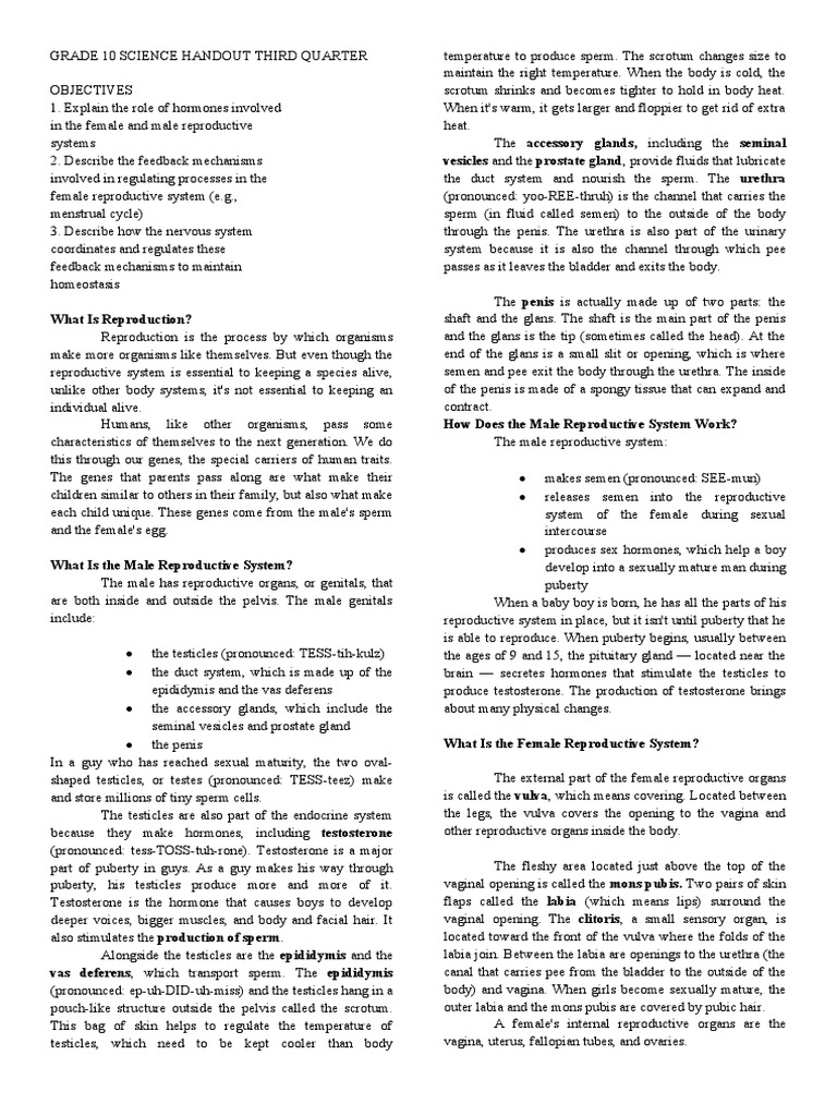Grade 10 Science Handout Third Quarter | PDF | Menstrual Cycle ...