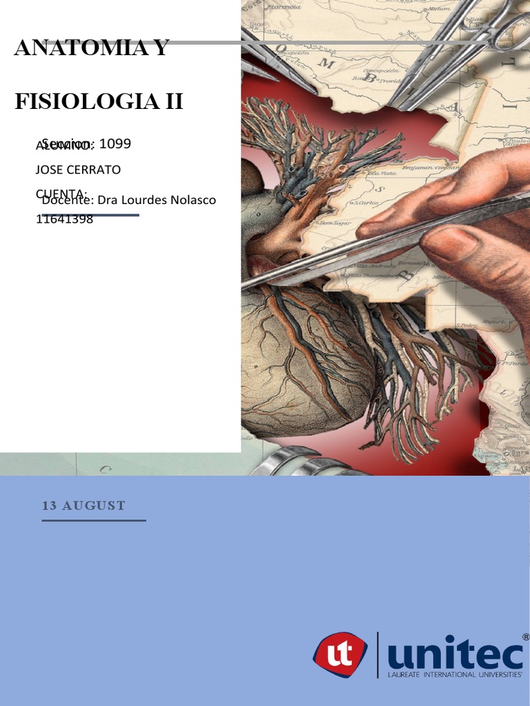 Jose Cerrato Lab | PDF | Digestión | Tracto gastrointestinal