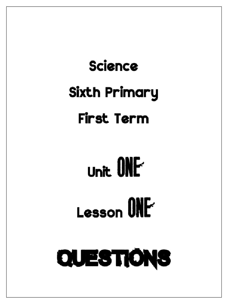 6th Primary - First Term | PDF