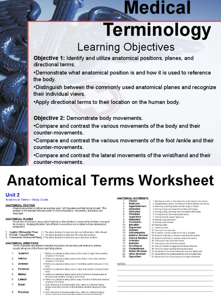 Understanding Anatomical Terminology: A Comprehensive Guide to ...