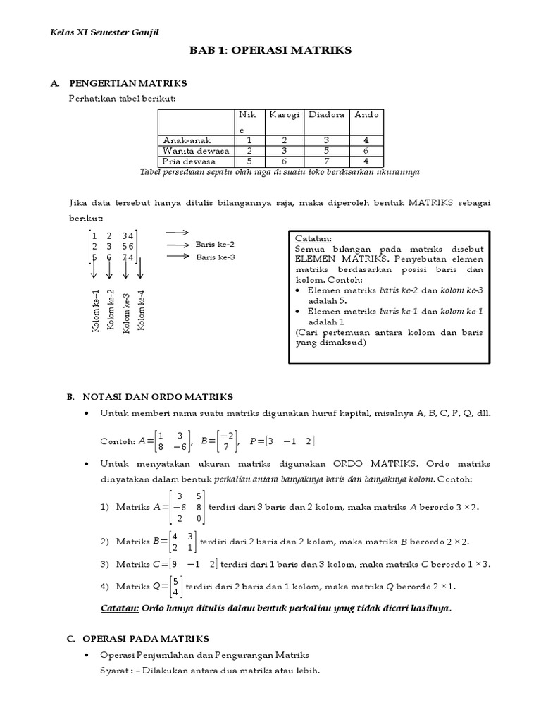 Konsep Matriks | PDF