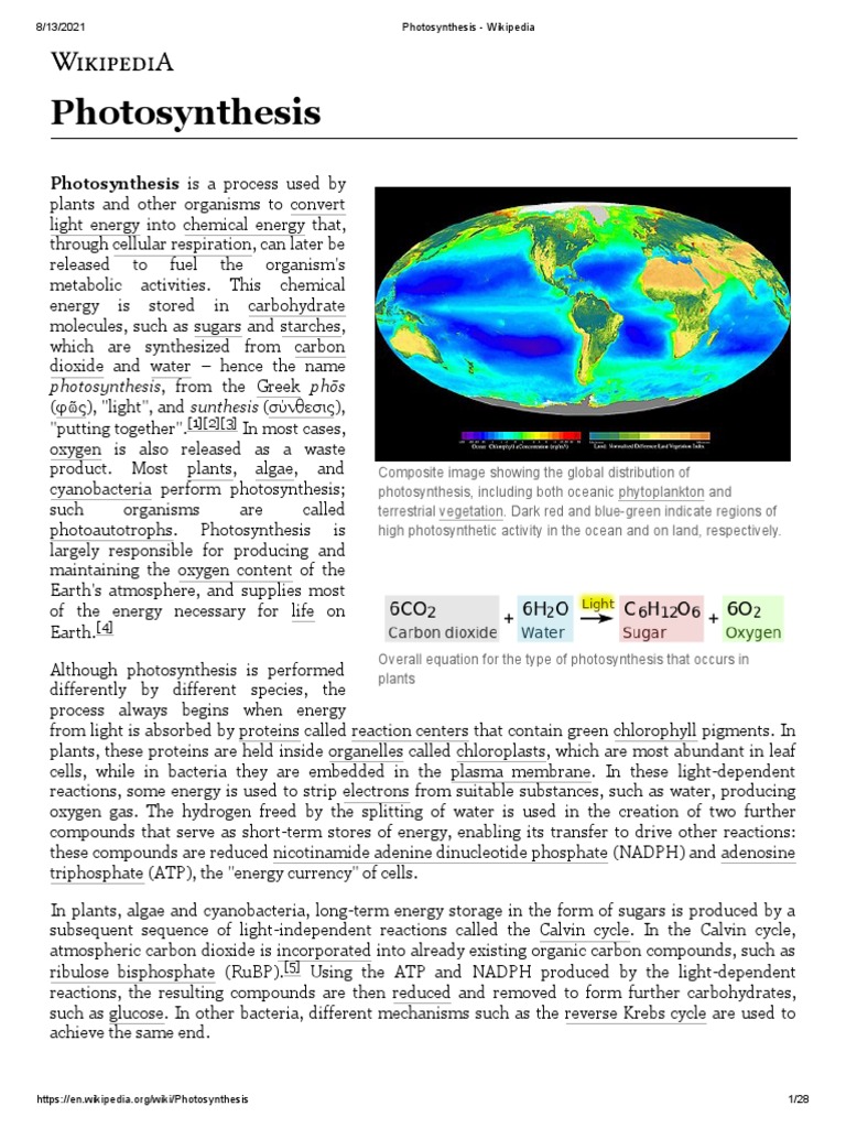 Photosynthesis - Wikipedia | PDF | Photosynthesis | Chloroplast