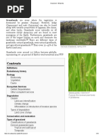 GRass N | PDF | Plants | Botany