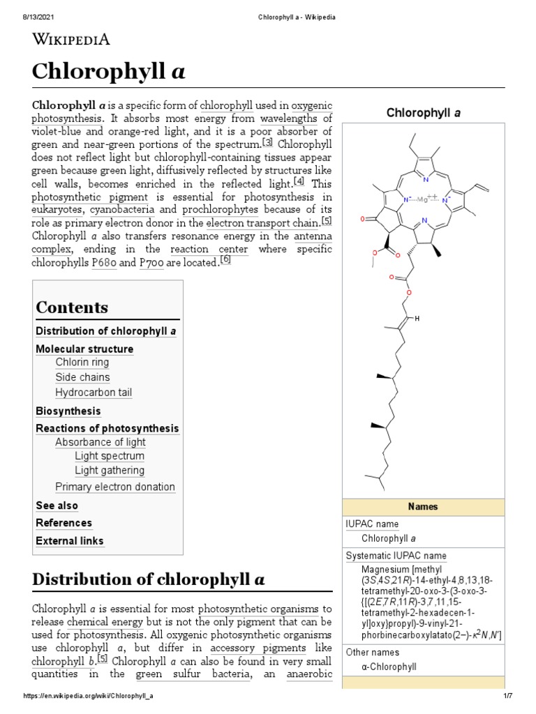 Chlorophyll A - Wikipedia | PDF | Chlorophyll | Chemistry