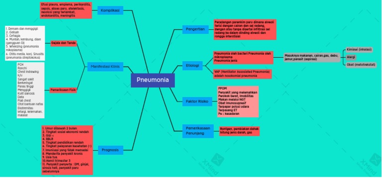 Mind Map Pneumonia 1 | PDF